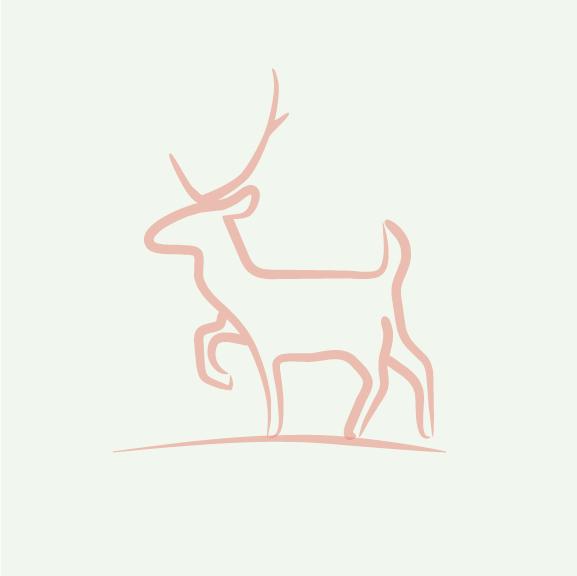 New Zealand Red Deer Noisettes, Farmed Venison | Broken Arrow Ranch