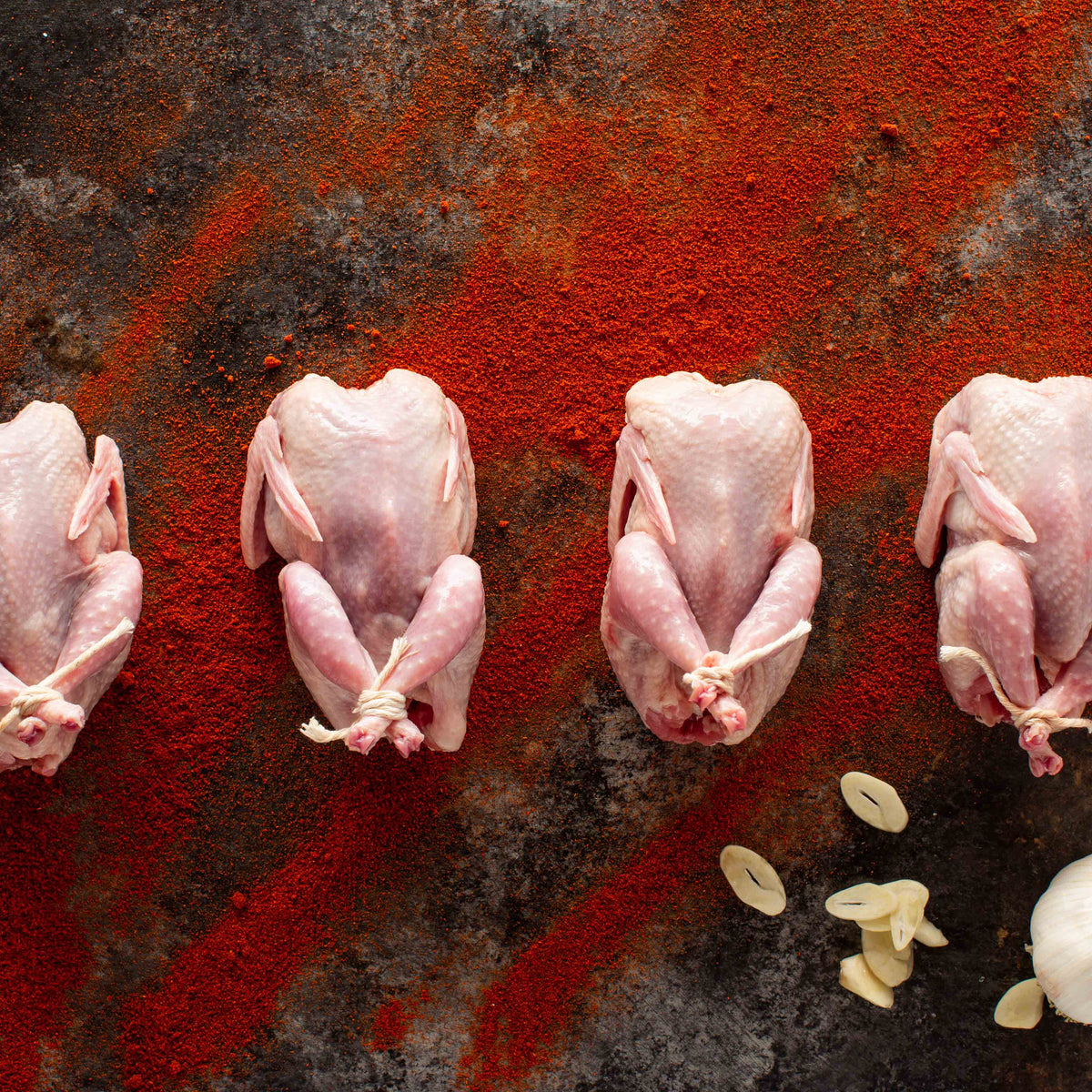 Texas Quail From Diamond H Ranch | Broken Arrow Ranch