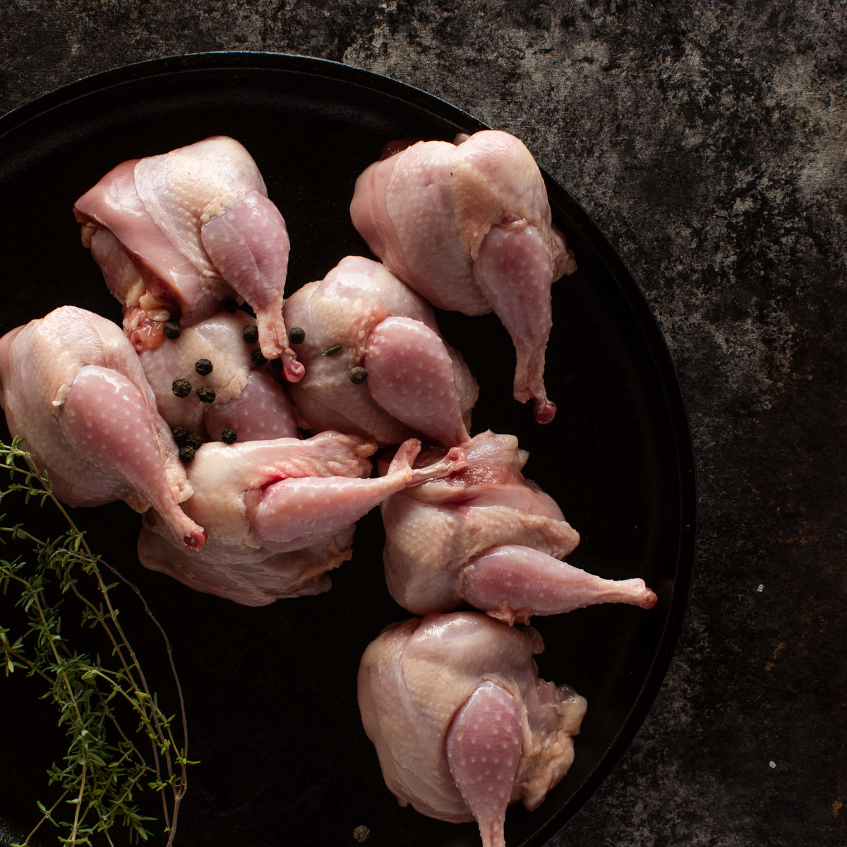Texas Quail From Diamond H Ranch | Broken Arrow Ranch